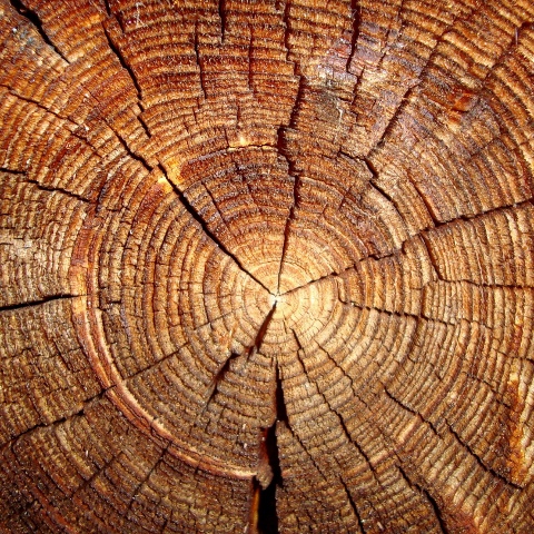 MaderaM — Carpintería de Madera en Menorca